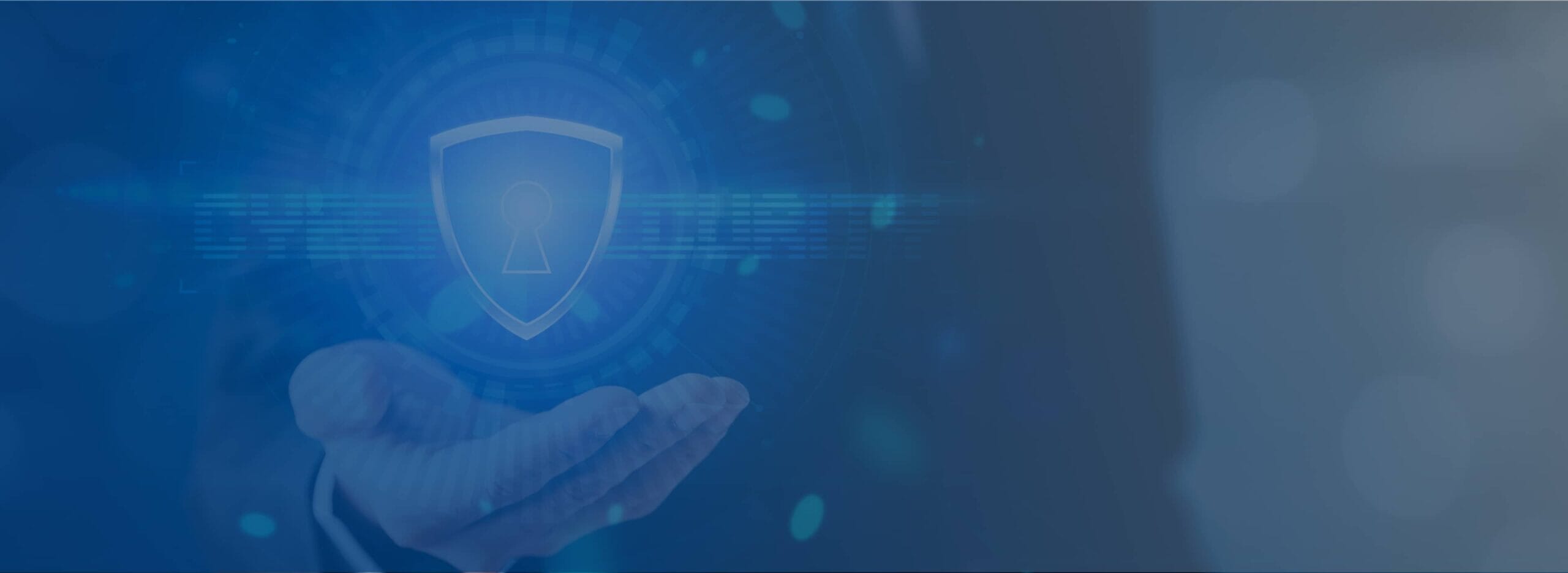 Identity and Access Management Services | IAM Consultants USA